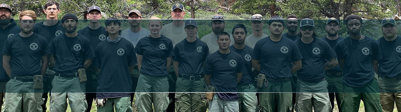 Online Fingerprinting Services for Background Checks. An FBI Channeler ...